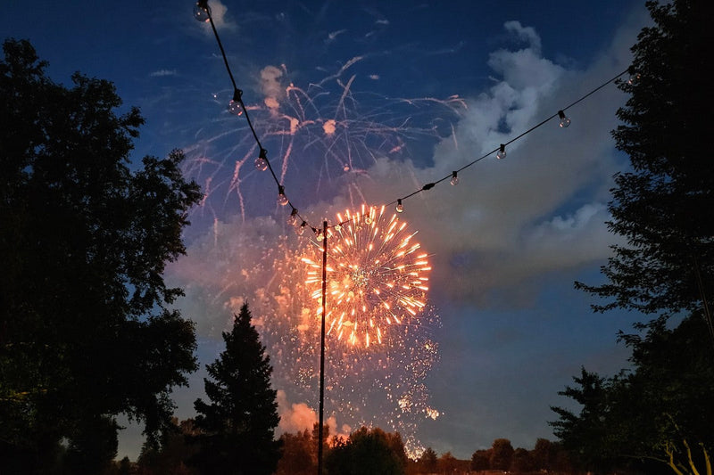 Daytime Fireworks | Brighten up Your Event With Colorful Products