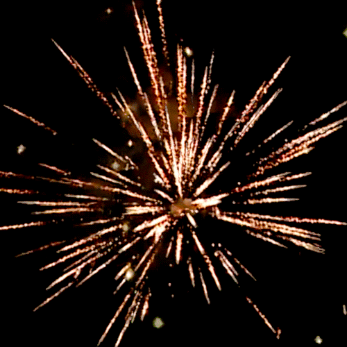 Buy Dead Presidents™ 196 Shot XL® Aerial Finale Set® Fireworks Online