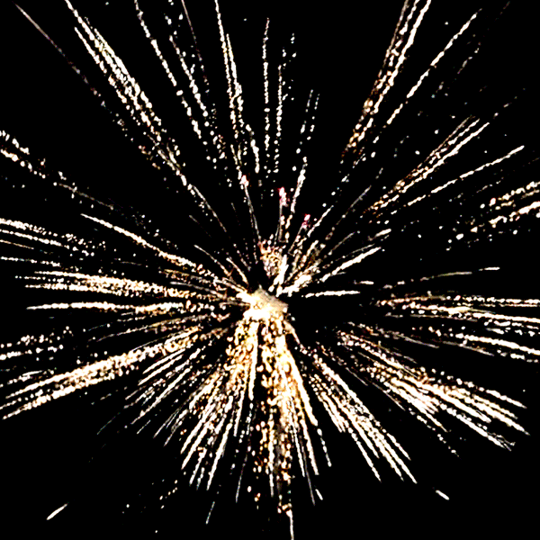 Buy Giant Panda® 6-Inch XXL™ Canister Shell Fireworks Online