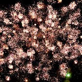 Buy Viva Mexico®! 135-Shots XL® Aerial Finale Set® Fireworks Online