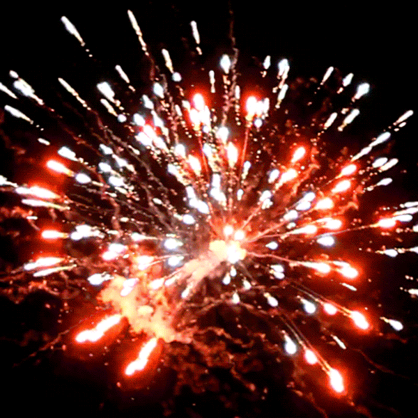 Buy Giant Panda Box® Sampler® Fireworks Online