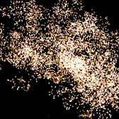 Buy Buddha® Shells 5" XL® Canister Shell Fireworks Online